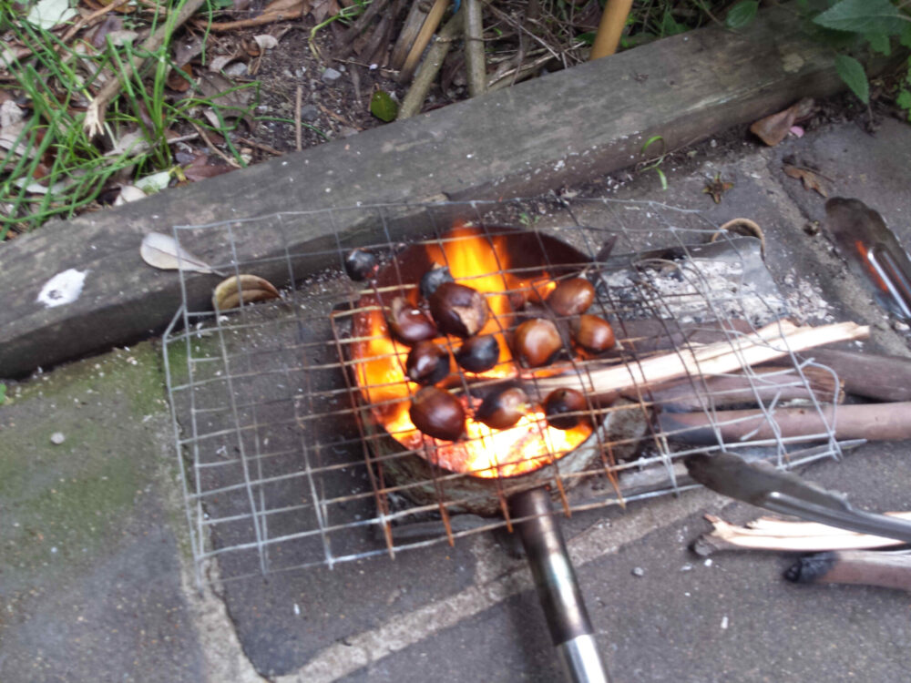 Cooking chestnuts on a blower stove - Tim Tinker